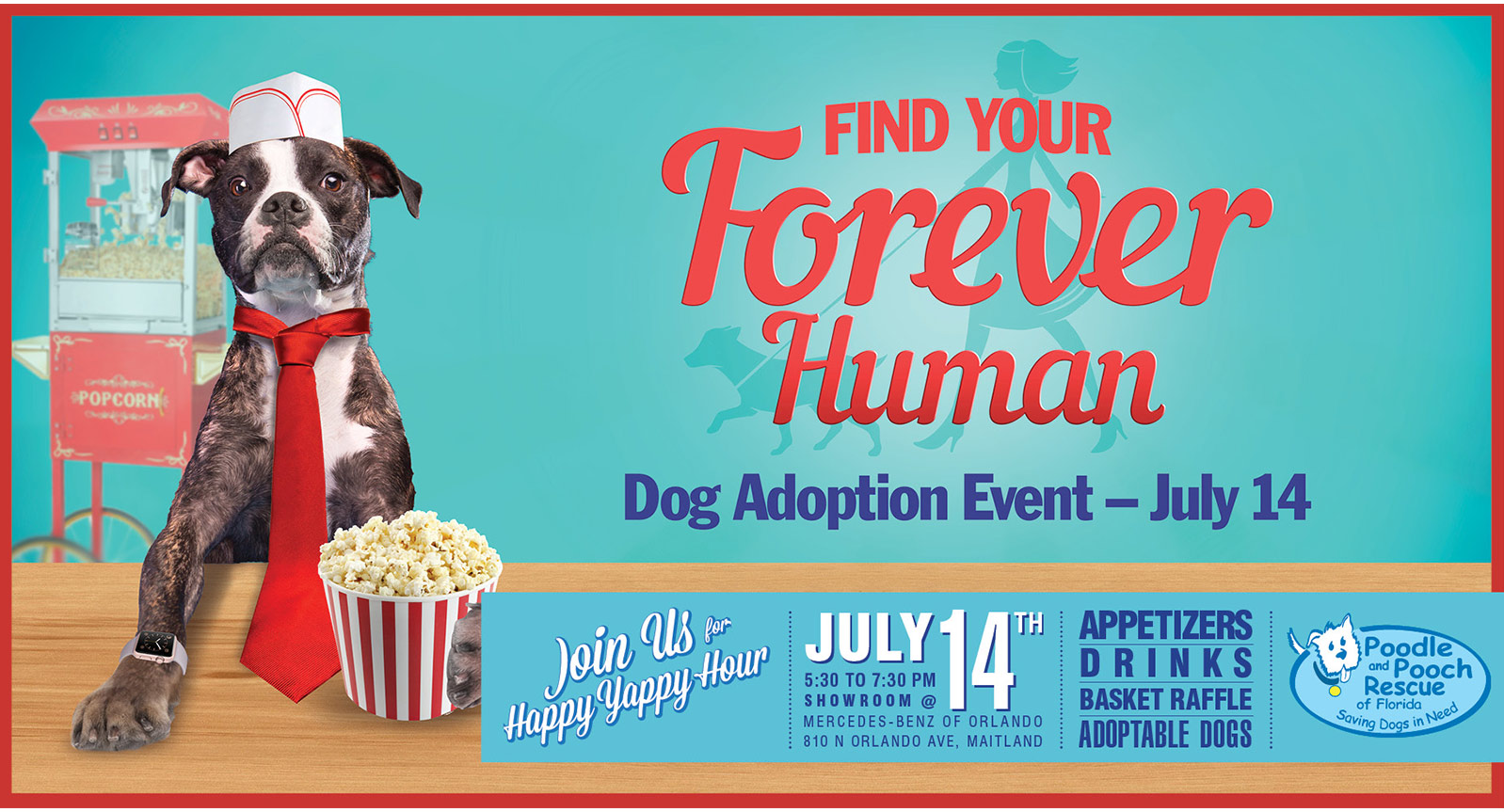 Dog Rescue Photo Illustration and Banner Design Popcorn - Alex Morse